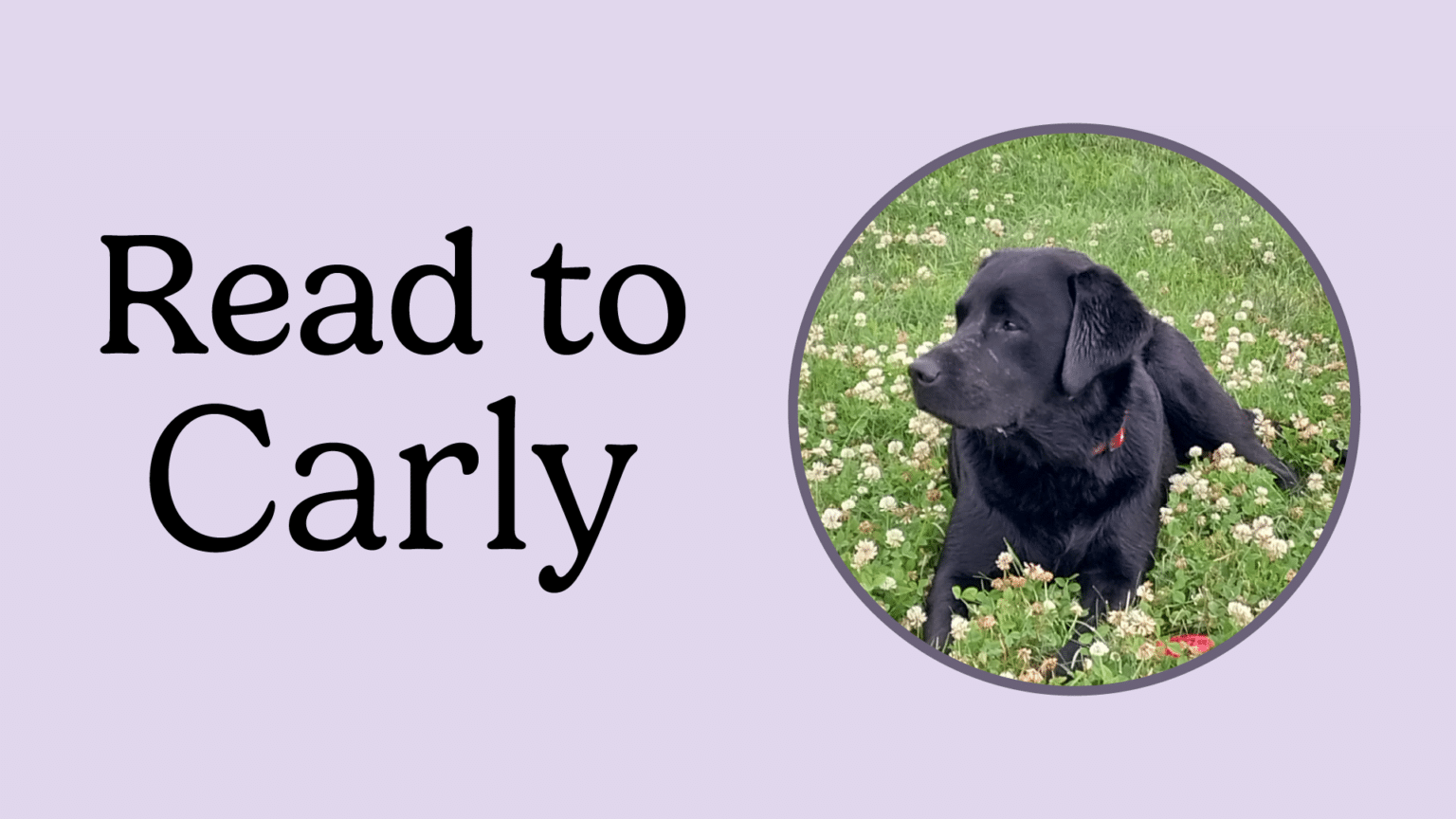 Read to Carly – NowKalamazoo