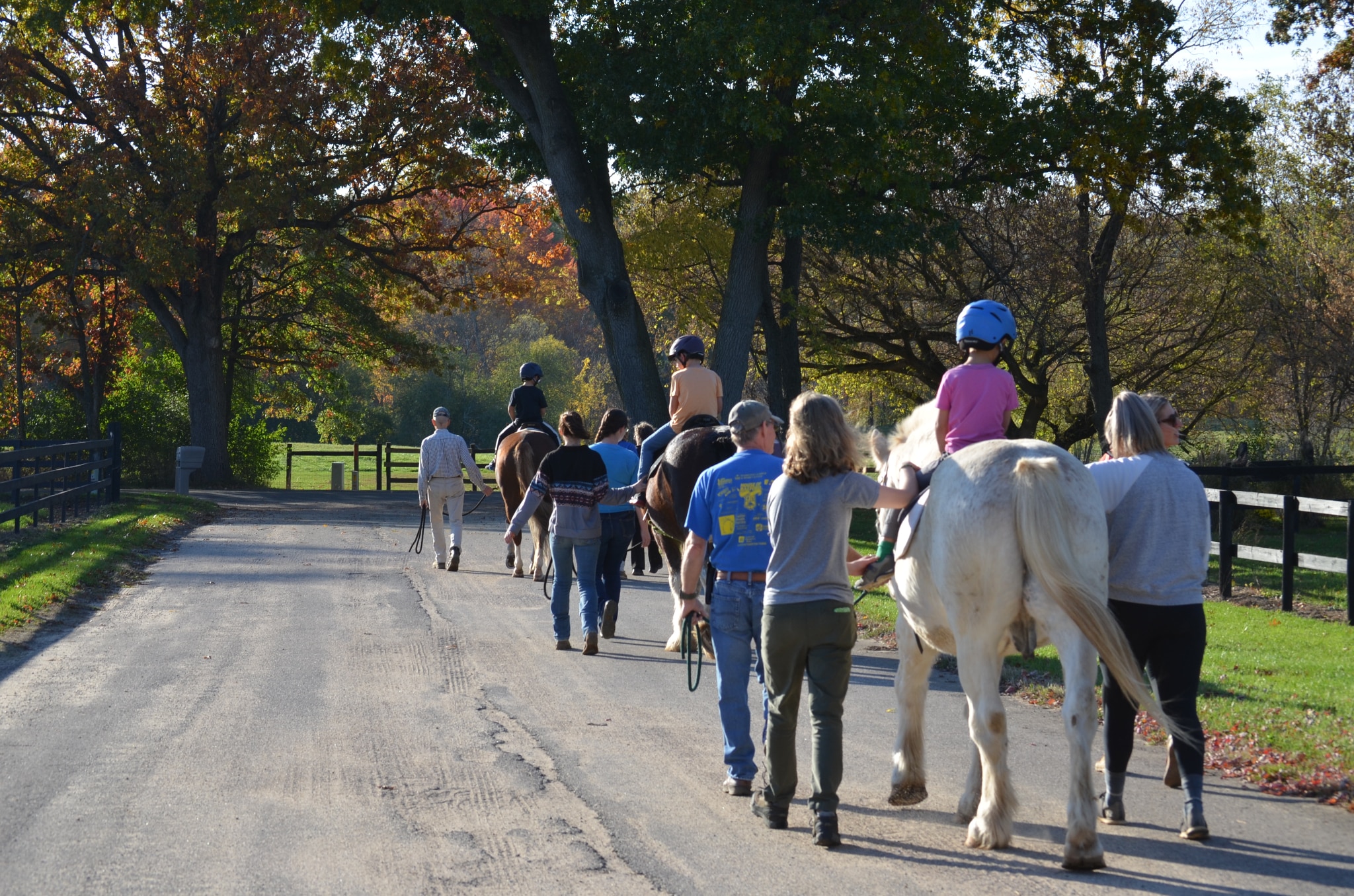 Nonprofit Spotlight: Cheff Therapeutic Riding Center – NowKalamazoo