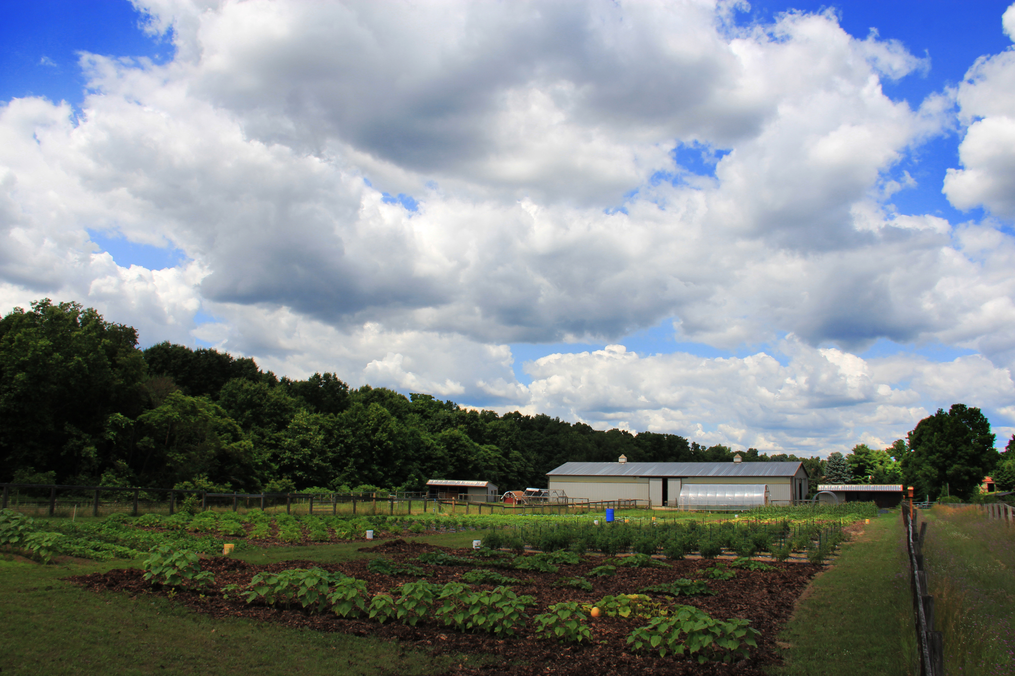 Nonprofit Spotlight: Pretty Lake Camp – NowKalamazoo